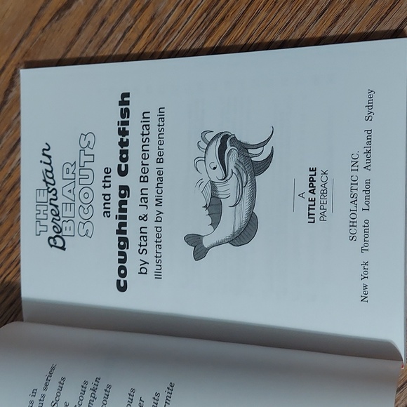 Scholastic | Other | The Berenstain Bears Chapter Book Bundle | Poshmark